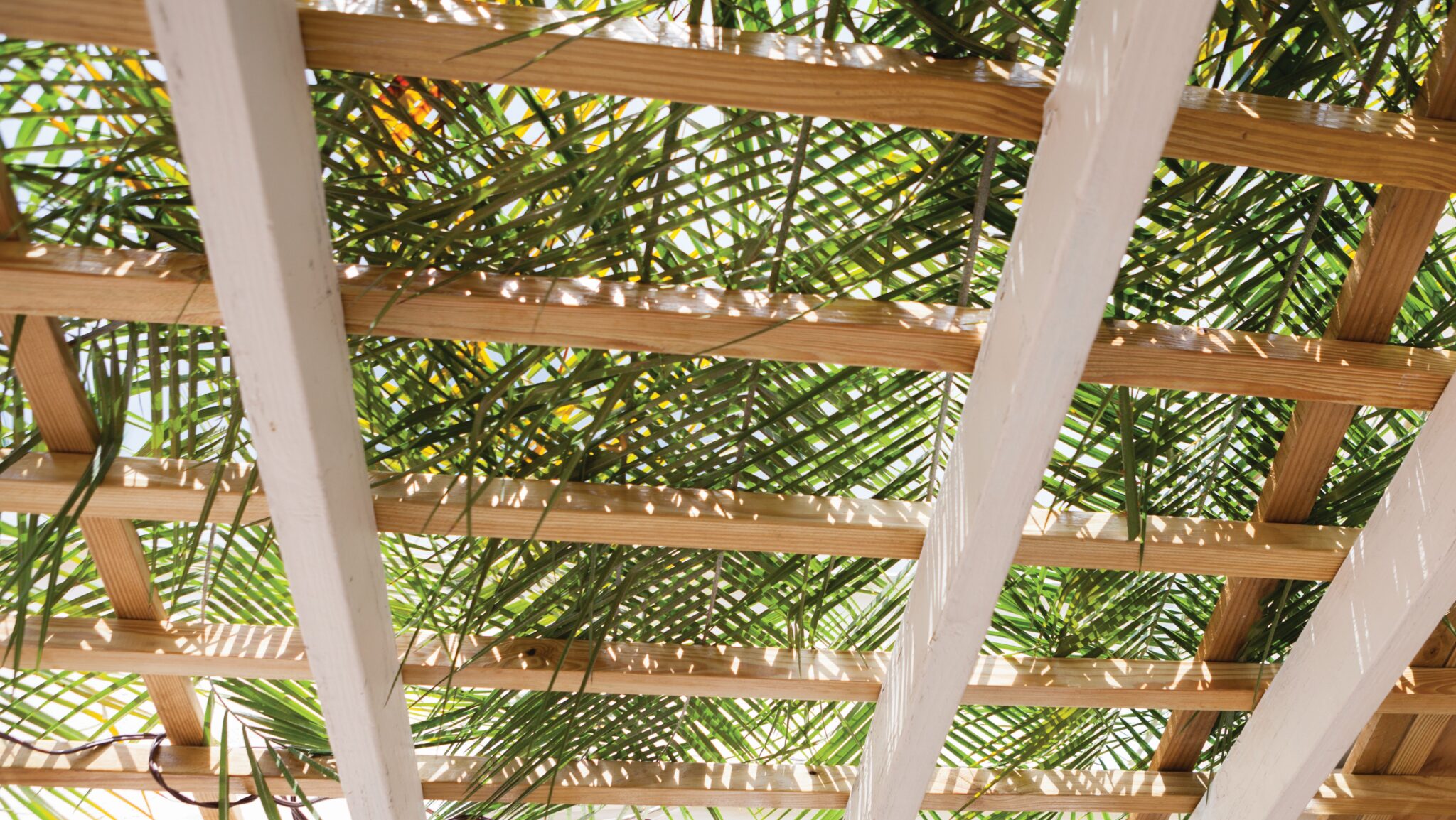 Less-than-perfect? Perfectly fine: The lesson of the three-walled ...